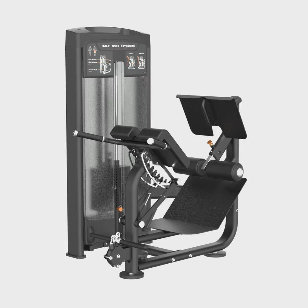 INSIGHT FITNESS MULTI BACK EXTENSION – Devine Fitness Equipment